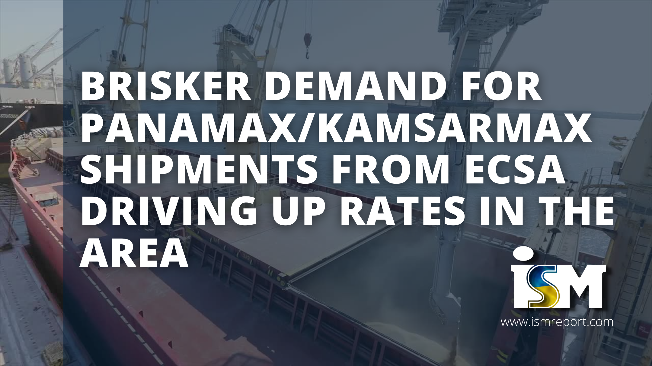 ISM Report | Brisker demand for Panamax/Kamsarmax shipments from ECSA ...