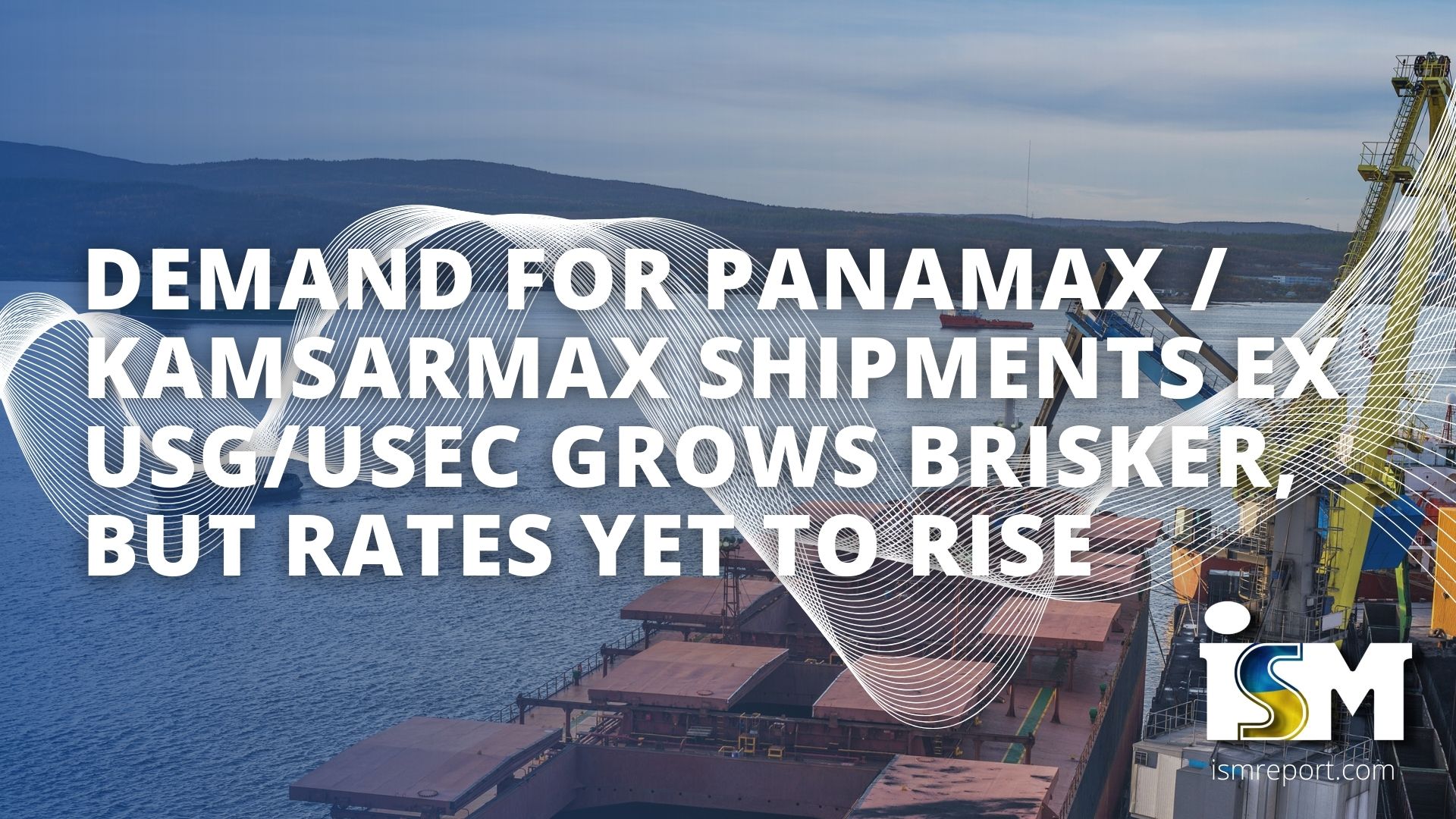 ISM Report | Demand for Panamax/Kamsarmax shipments ex USG/USEC grows ...