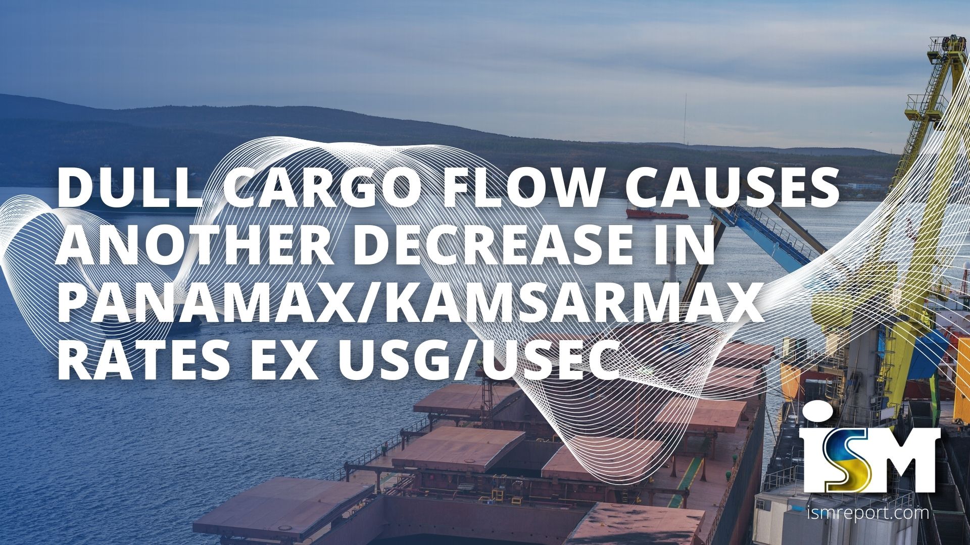 ISM Report | Dull cargo flow causes another decrease in Panamax ...